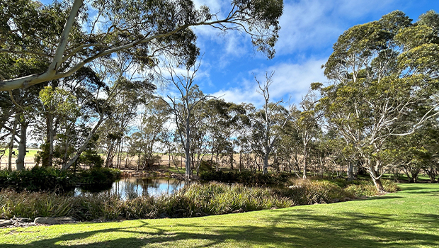 Land For Sale in Adelaide & South Australia