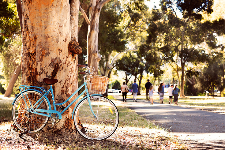 About Bloom Glenside, Adelaide SA