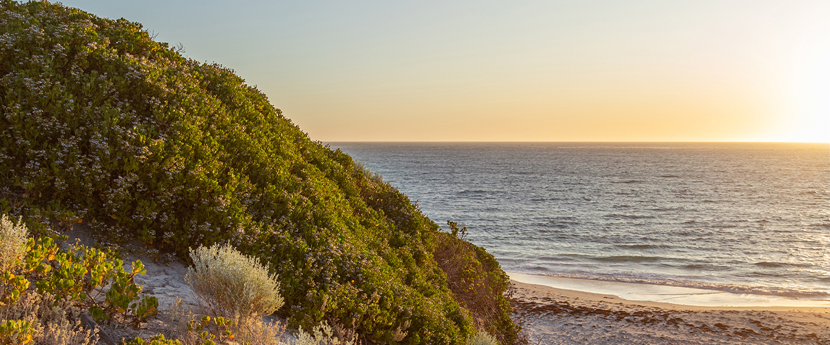 Property Investment Eglinton, WA | Eglinton Village