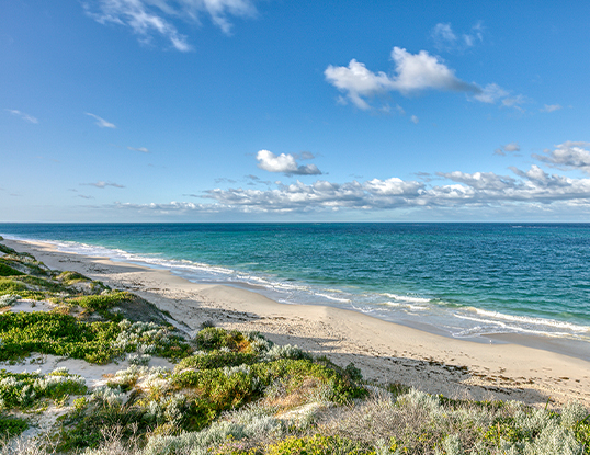 Parks & Playgrounds | Eglinton Village