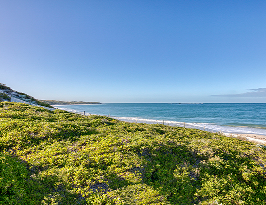 Parks & Playgrounds | Eglinton Village