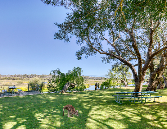 Parks & Playgrounds | Eglinton Village