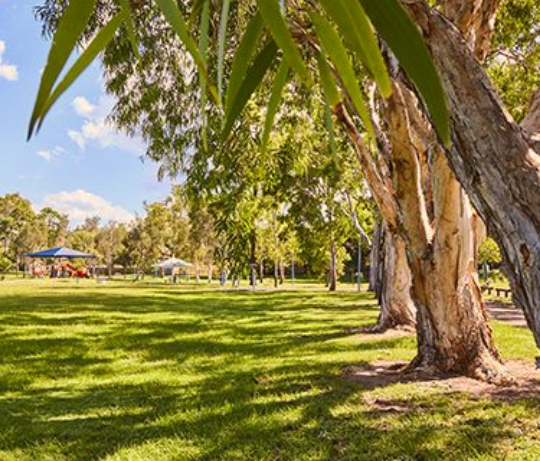 Land & House and Land Packages at Ellendale Upper Kedron near The Gap ...