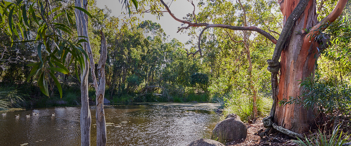 Upper Kedron Suburb Profile & Property Market - Ellendale Estate