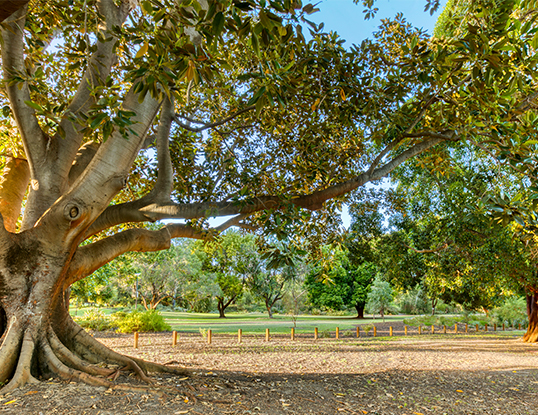 Incontro Masterplan | Contemporary Community in Subiaco